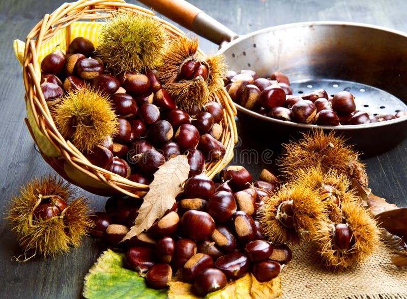 Edible chestnuts stock image. Image of round, fresh, closeup - 27766695