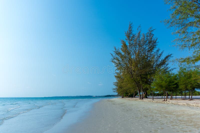 Nice Empty Tree Lined Beach with Calm Sea. Stock Photo - Image of ...
