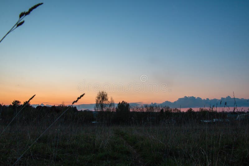 Nice Evening and Beautiful Sunset Stock Image - Image of plants ...