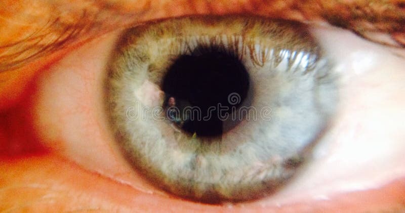 Nice eyeball close up stock image. Image of ball, eyeball - 49994469