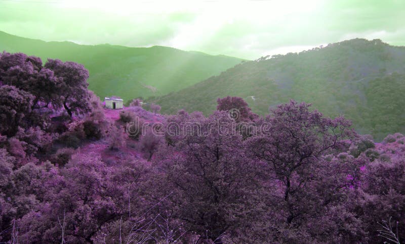 Fantasy field stock image. Image of scene, ripe, horizon - 5446179