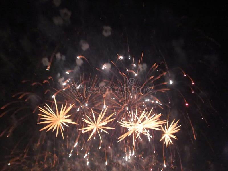 Fireworks in the night stock image. Image of color, gunpowder - 262028009