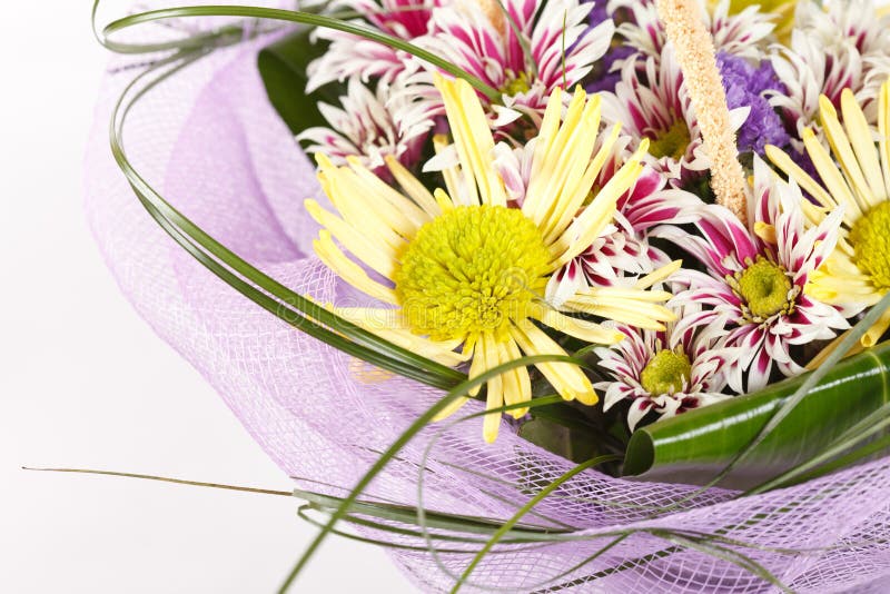 Nice flowers stock image. Image of green, brown, decoration - 24169151