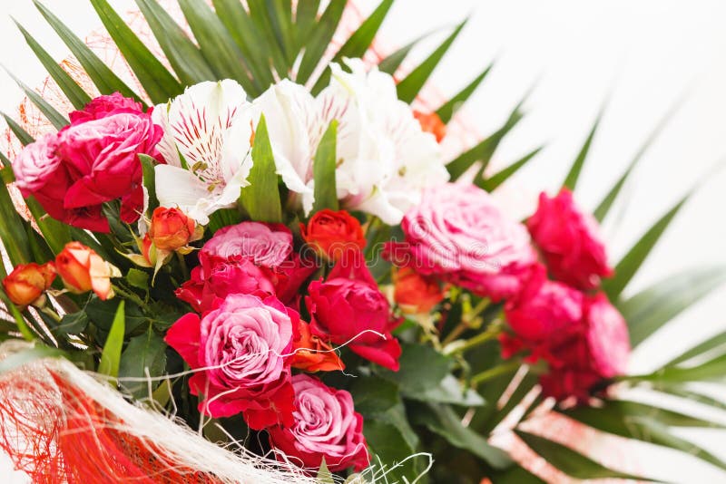 Nice flowers stock image. Image of greeting, green, celebration - 30096263