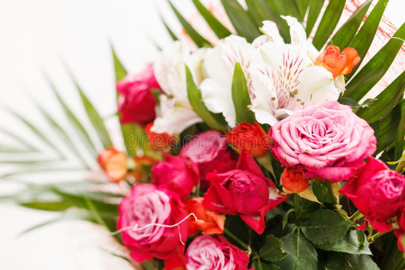 Nice flowers stock photo. Image of beautiful, arrange - 30097164