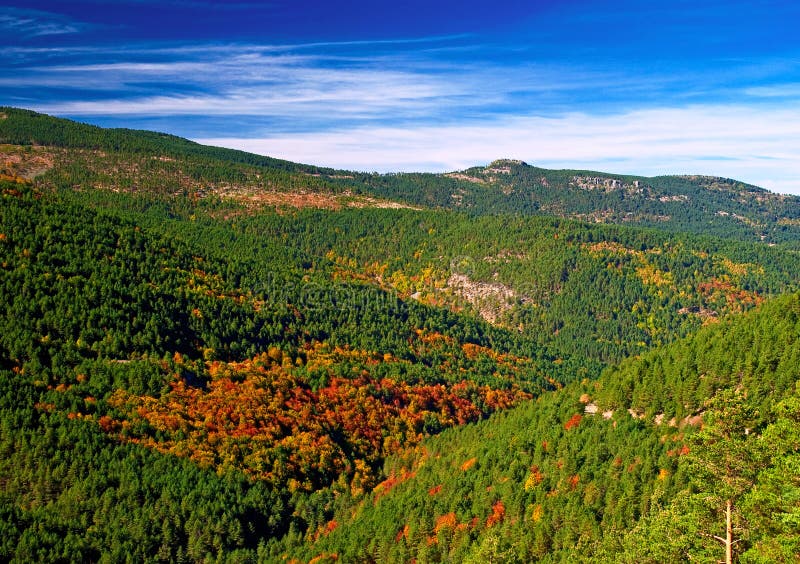 Nice forest in autumn stock image. Image of landscape - 16381255