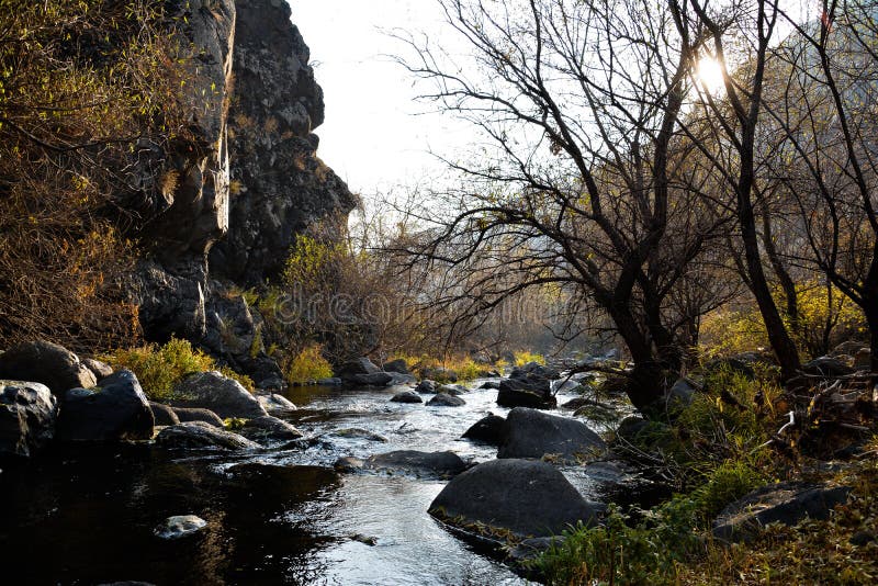 Nice forest in autumn stock image. Image of landscape - 16381255