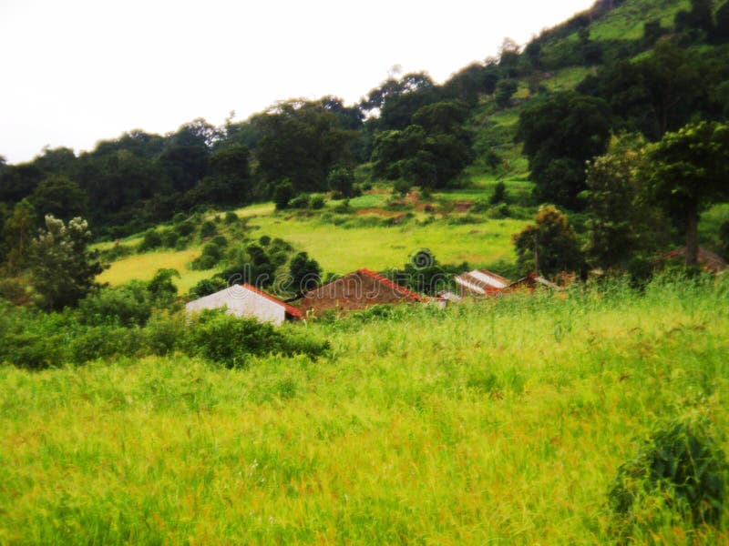 Nice Forest Landscape and Hills Greenery Stock Photo - Image of ...
