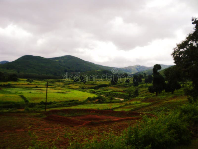 Nice Forest Landscape and Hills Greenery Stock Photo - Image of ...