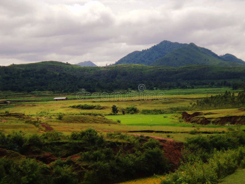 Nice Forest Landscape and Hills Greenery Stock Image - Image of nice ...