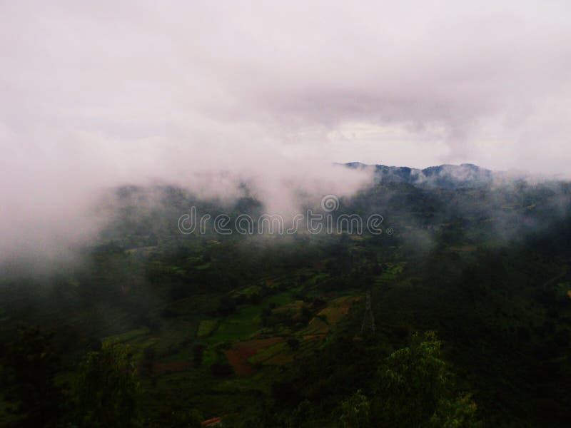 Nice Forest Landscape and Hills Greenery Stock Photo - Image of ...