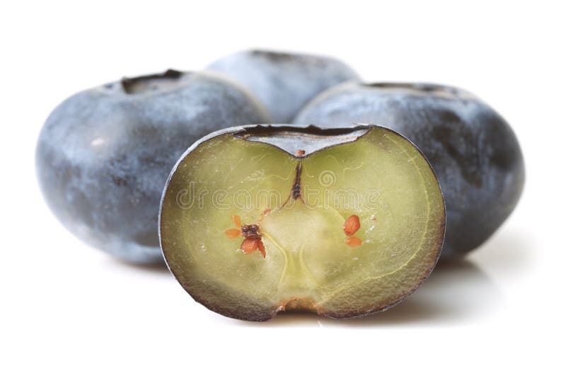 Nice fresh blueberry stock image. Image of dieting, sweet - 102858125