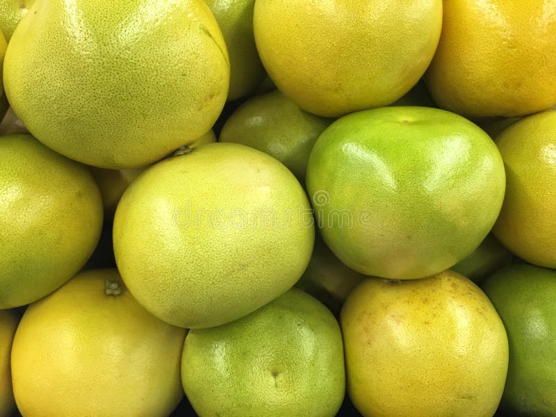 Nice Fresh Harvested Pummelos Stock Photo - Image of pomelo, large ...