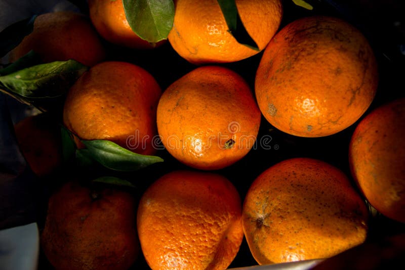 Nice Fresh Oranges a Top Shot Stock Image - Image of fish, late: 144553523