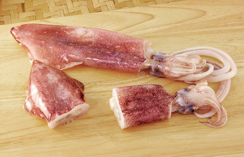 Nice fresh squid stock photo. Image of mollusk, palpus - 25997204
