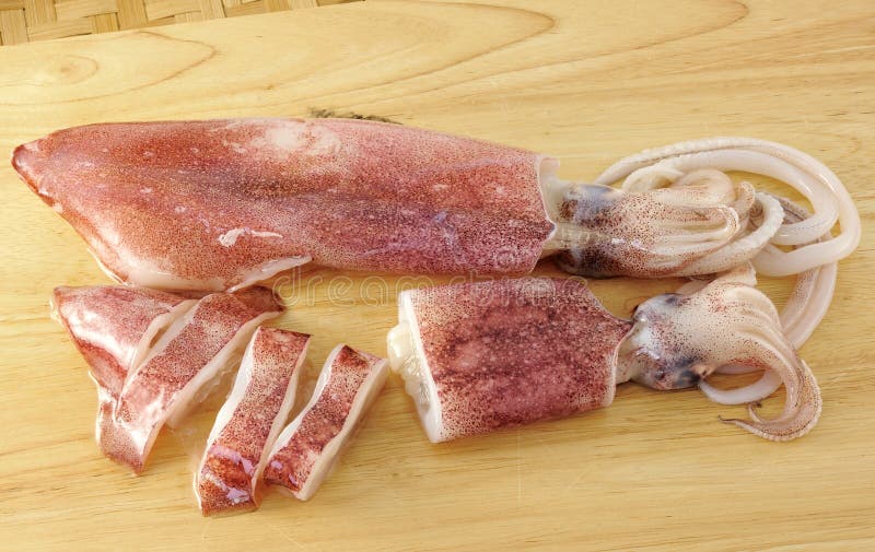 Nice fresh squid stock photo. Image of seafood, life - 25997212