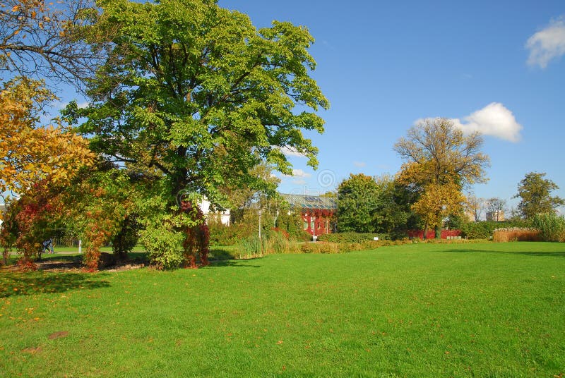 Nice Garden with Green Grass and Trees Stock Image - Image of leaf ...