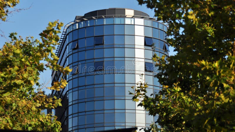 Nice Glass Building Exterior through the Foliage Stock Image - Image of ...