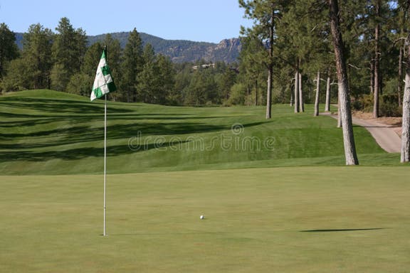 Nice Golf Shot with Ball Close Stock Photo - Image of birdie, golf: 2680102