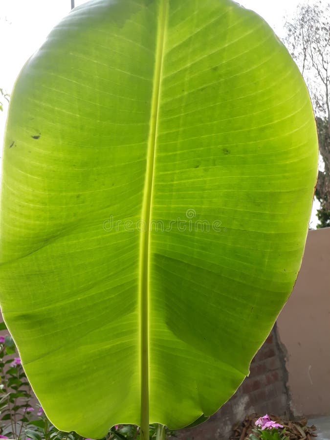 Good Wallpaper Hd 4k Stock Photos - Free & Royalty-Free Stock Photos ...