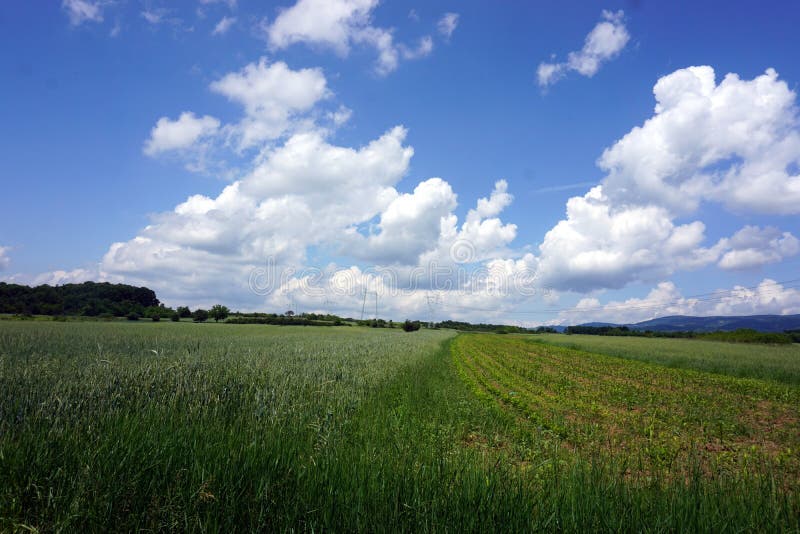 Nice green field stock photo. Image of time, field, cloud - 187203260