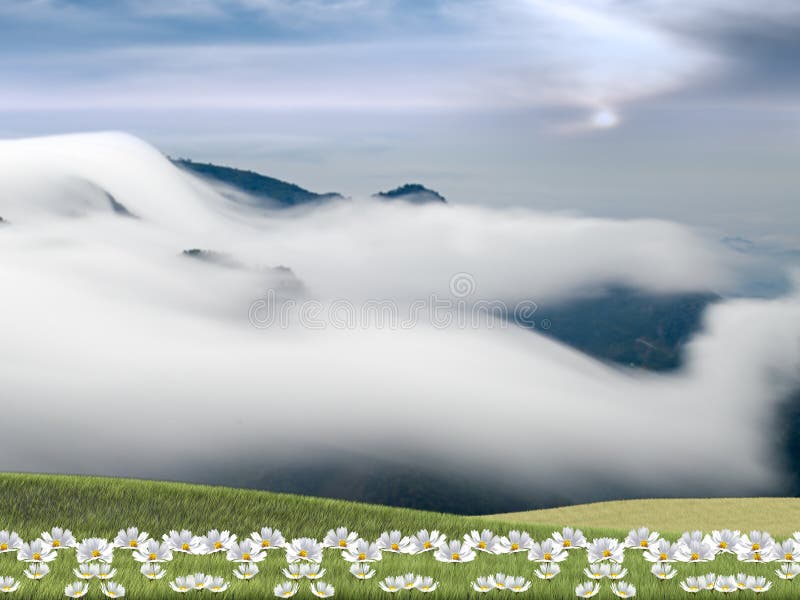 Nice Green Grass and Background Stock Photo - Image of defocus, close ...