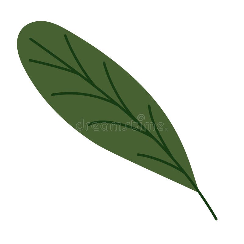 Nice green leaf stock vector. Illustration of flora - 235509691