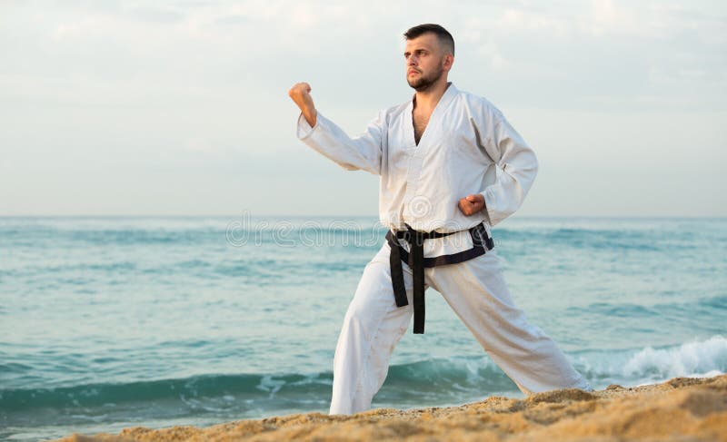 Nice Guy Practising Karate Kata Poses Stock Photo - Image of people ...