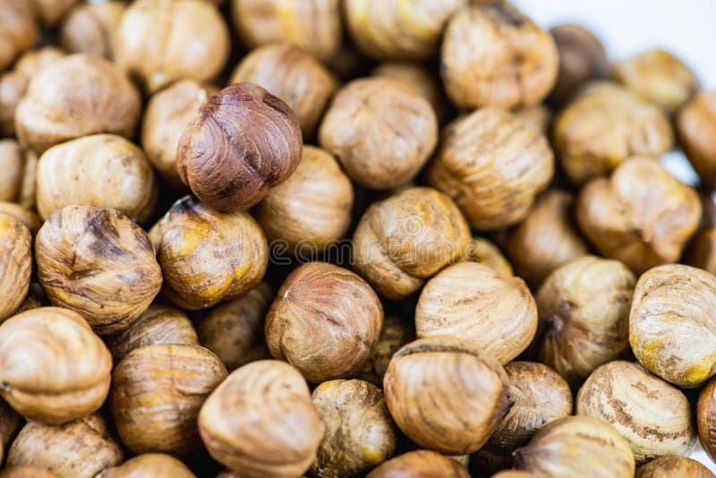 Nice Hazelnuts Tough the Best Selection. Choice Crunch for Your ...