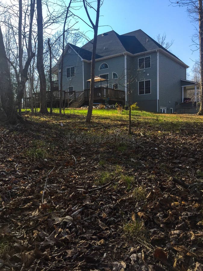 Nice home from woods view stock photo. Image of woods - 114577940