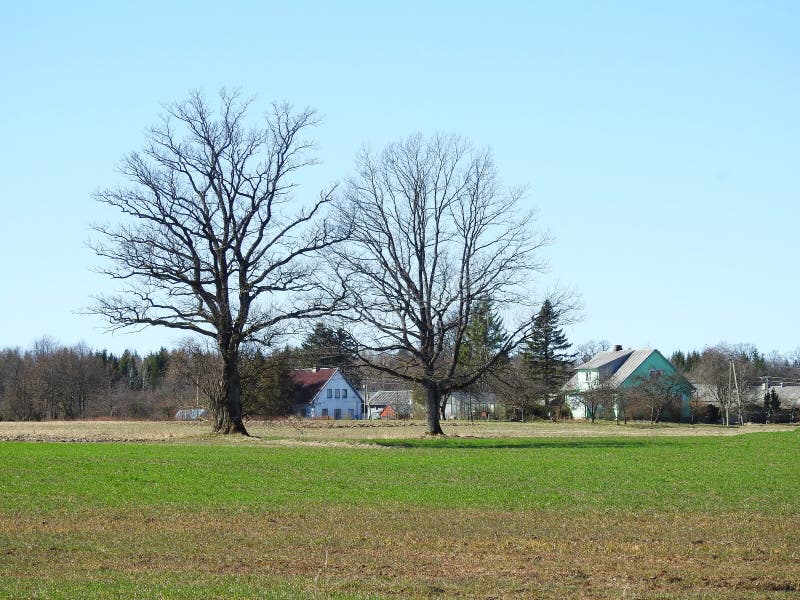 Beautiful Homes and Trees in Field , Lithuania Stock Photo - Image of ...