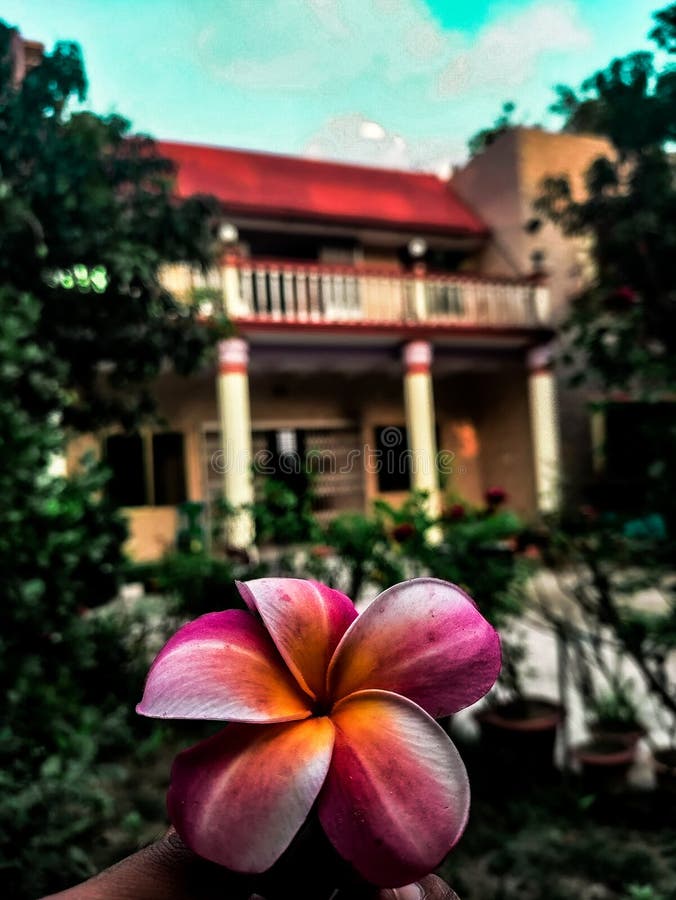 Easy Draw Tanning Bed Stock Photos - Free & Royalty-Free Stock Photos ...