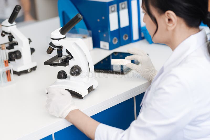 Nice Intelligent Woman Working with a Microscope Stock Image - Image of ...