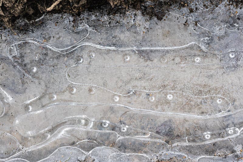 Nice Structures of Ice in a Frozzen Puddle Stock Photo - Image of cold ...