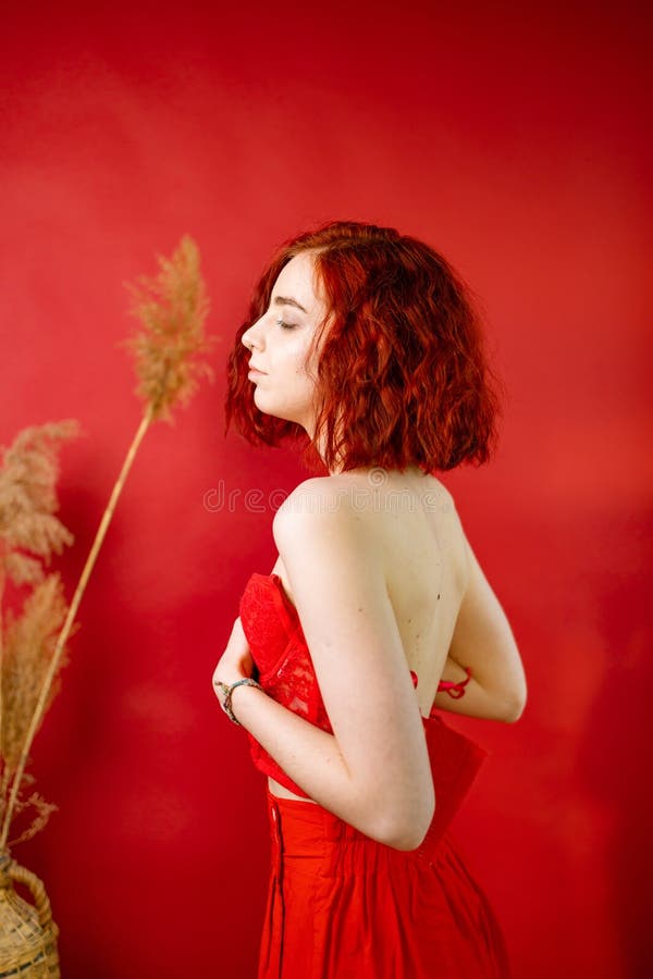 Nice Lady Covered by Red Silk on Red Background Stock Image - Image of ...