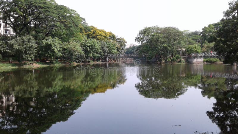 Lake water. stock photo. Image of view, side, nice, lake - 126952796