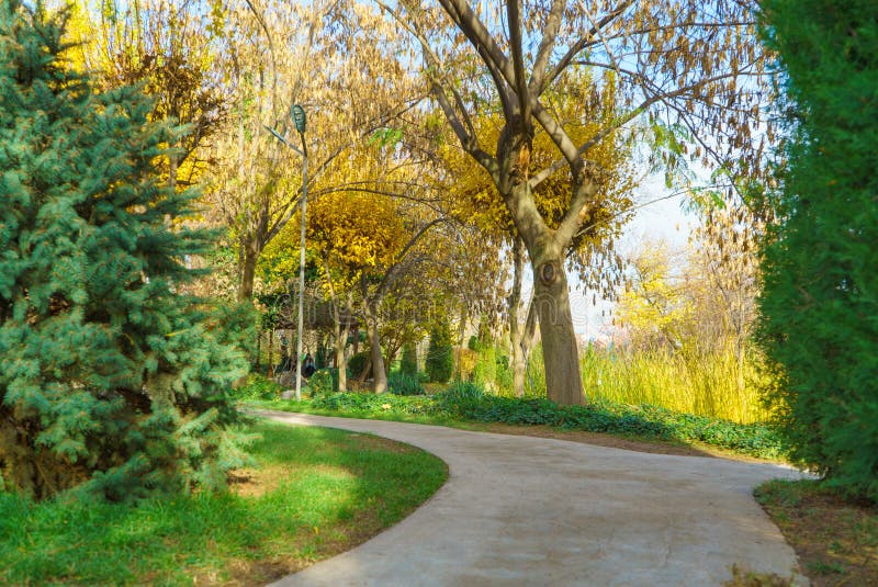 Nice Landscape of Beautiful Trees in Autumn Season Stock Photo - Image ...