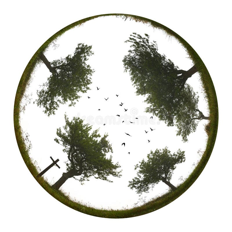 1,987 Greenery Background White Circle Stock Photos - Free & Royalty ...