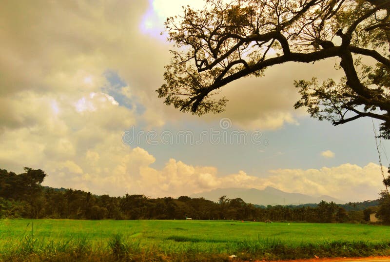 Crop land stock image. Image of landscape, scenery, nice - 139050799