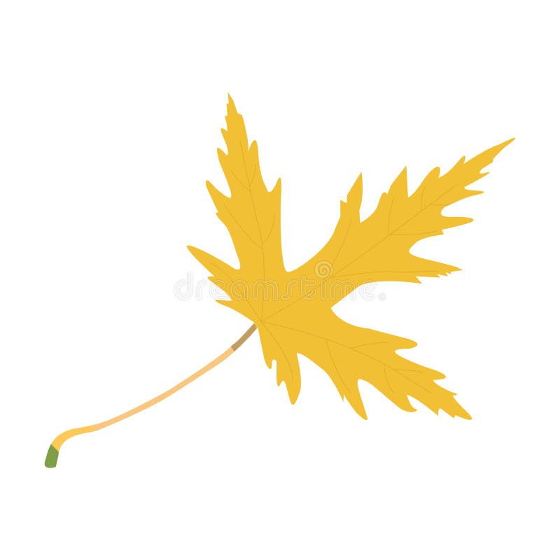 Nice Leaf Vector Avatar Art Stock Vector - Illustration of fall, nature ...