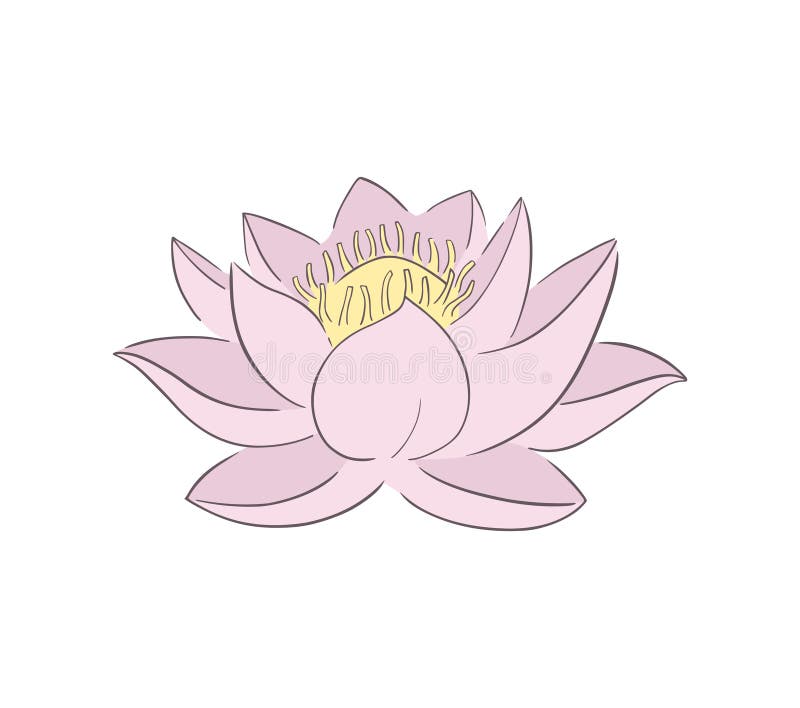 Nice lotus flower stock vector. Illustration of design - 364439255