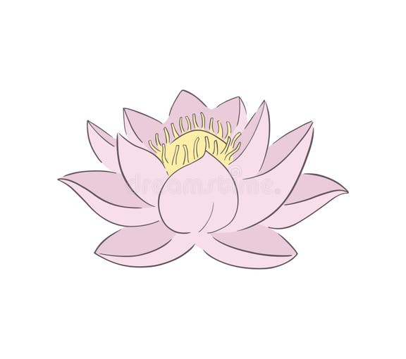 Nice lotus flower stock vector. Illustration of design - 364439255