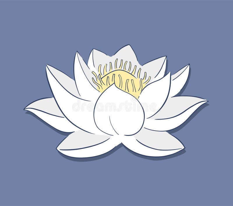 Nice lotus flower stock vector. Illustration of lotus - 364440719