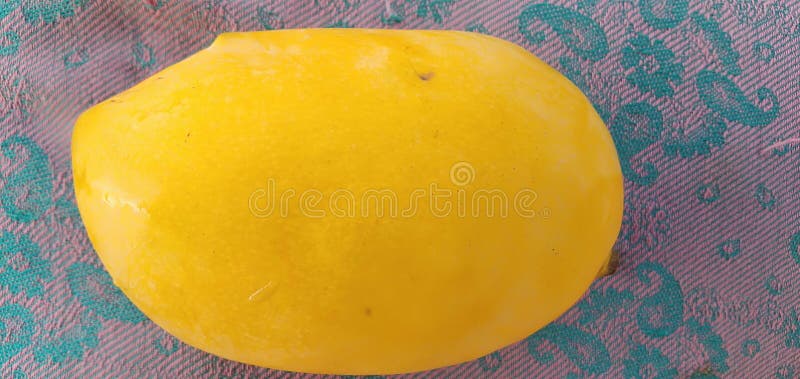 Nice mango for eating stock image. Image of flower, vegetable - 193094019
