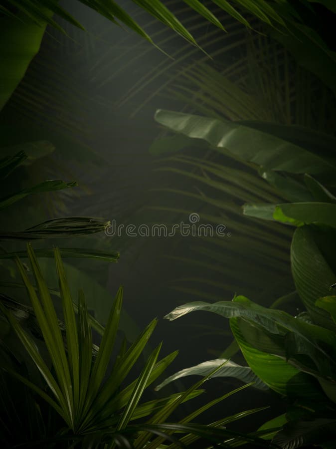 Nice Mist Green Tropical Jungle Background Stock Photo - Image of flora ...