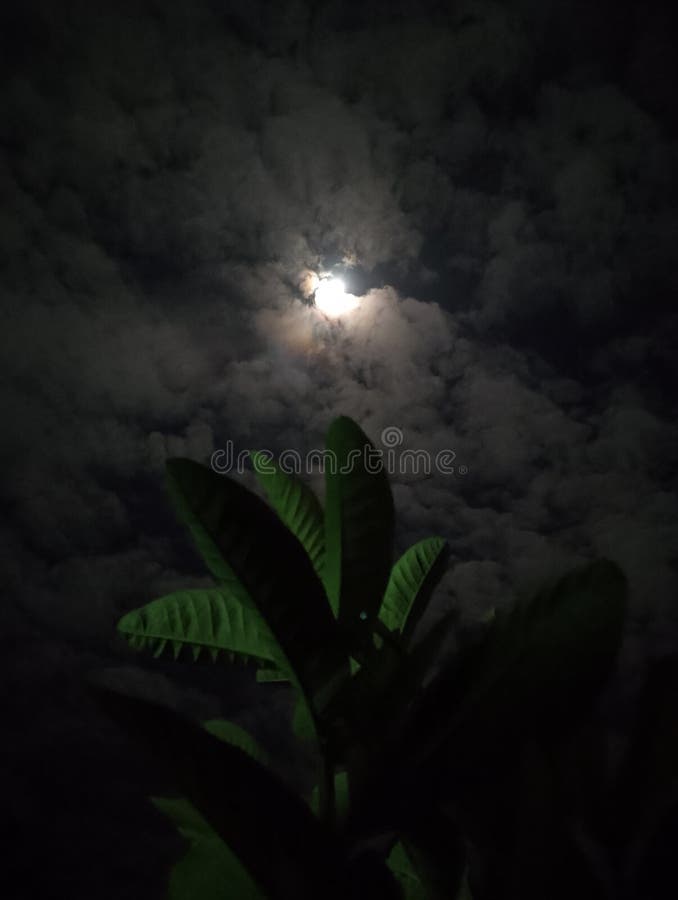 A nice moon at night stock photo. Image of discovery - 175639744
