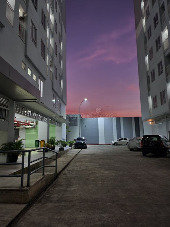 The Multiple Tower stock photo. Image of facade, shoots - 255200796