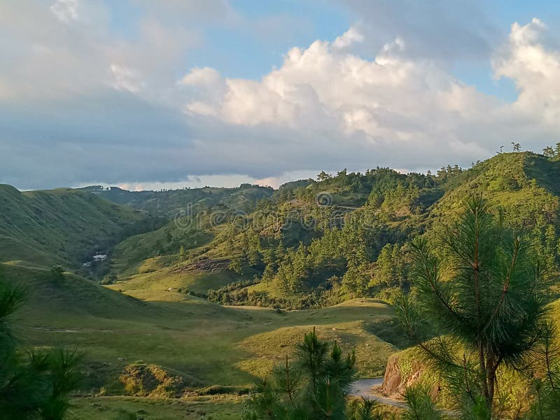 Nice nature in ri khasi stock image. Image of flower - 199221007