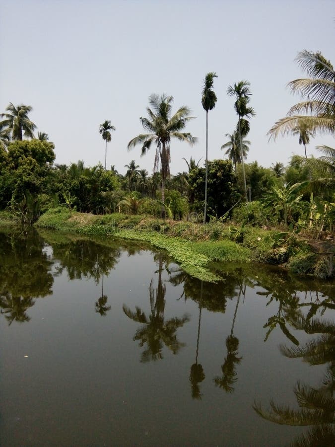 Nice nature stock image. Image of nice, natutr, nature - 76613019