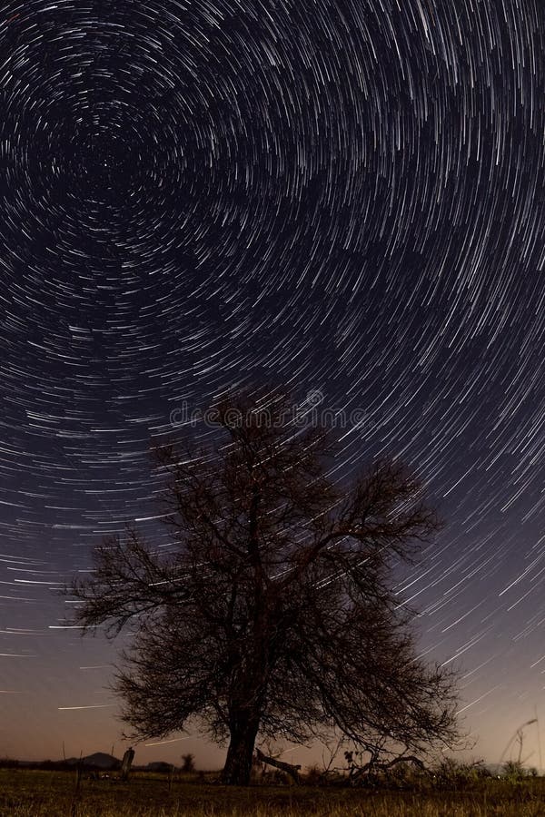 Nice Night Scene with Many Stars and Tree Stock Photo - Image of ...